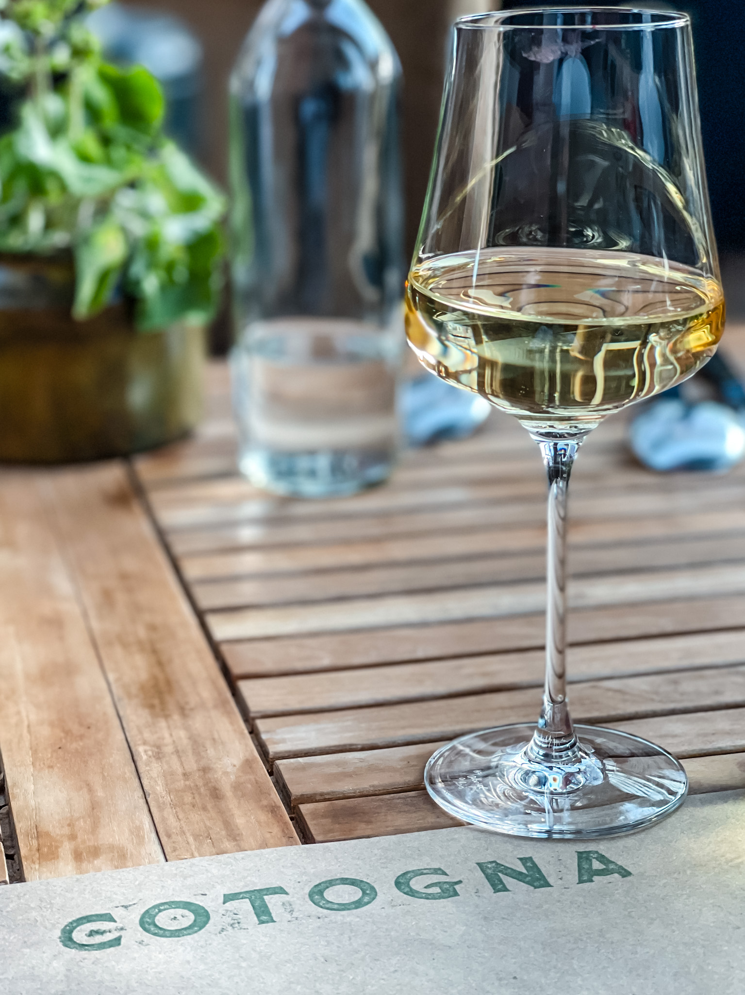 Cotogna: Best Italian Restaurant in San Francisco That Never Misses ...